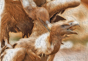 Birding In Spain Blog